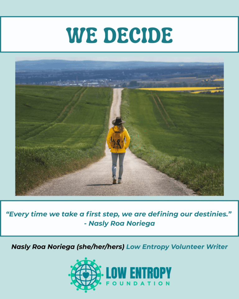We Decide - Low Entropy Foundation