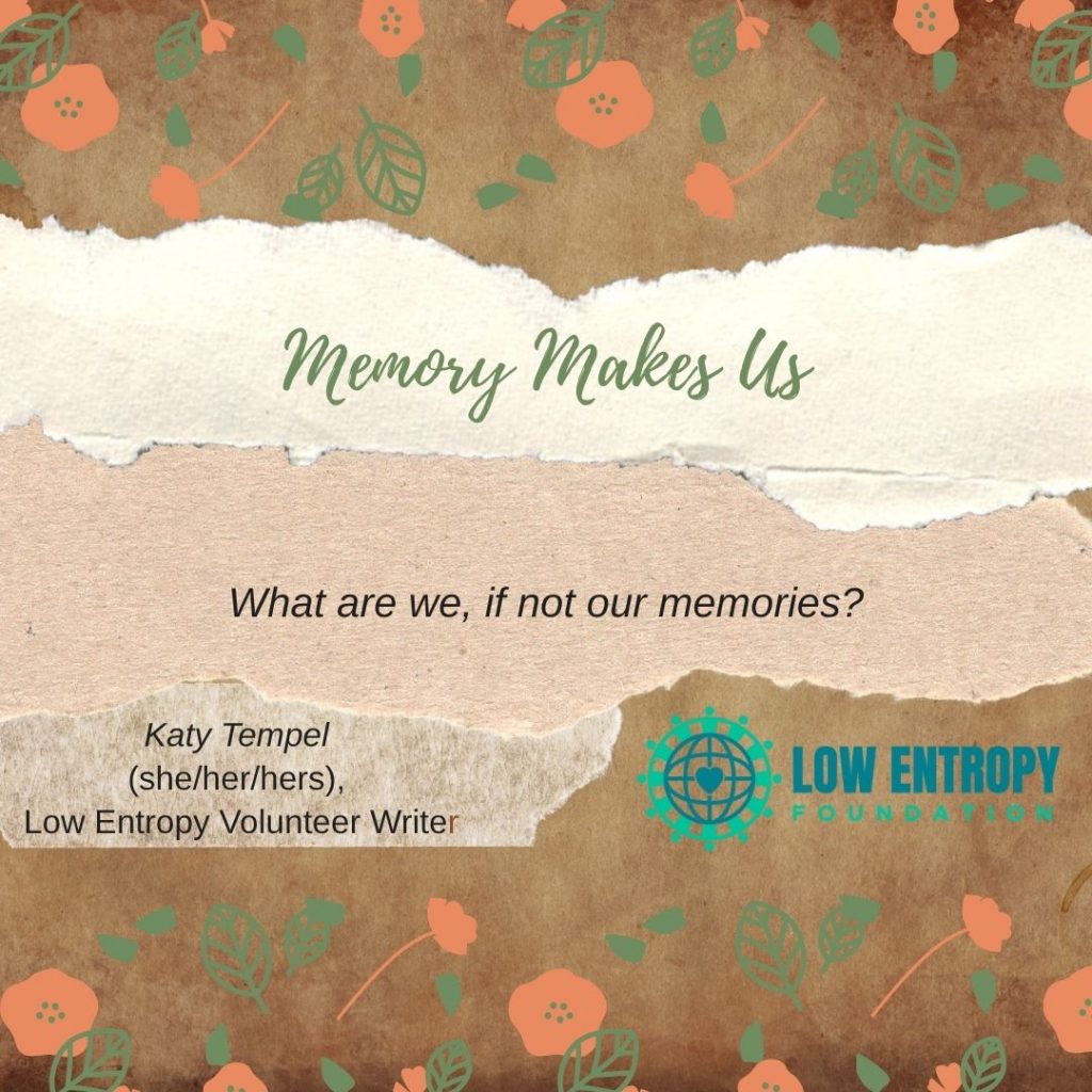 A Taste of Culture - Low Entropy Foundation