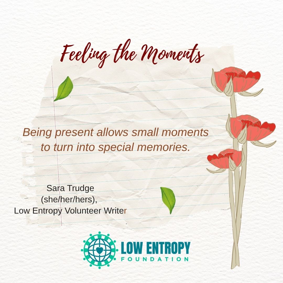 Feeling the Moments - Low Entropy Foundation