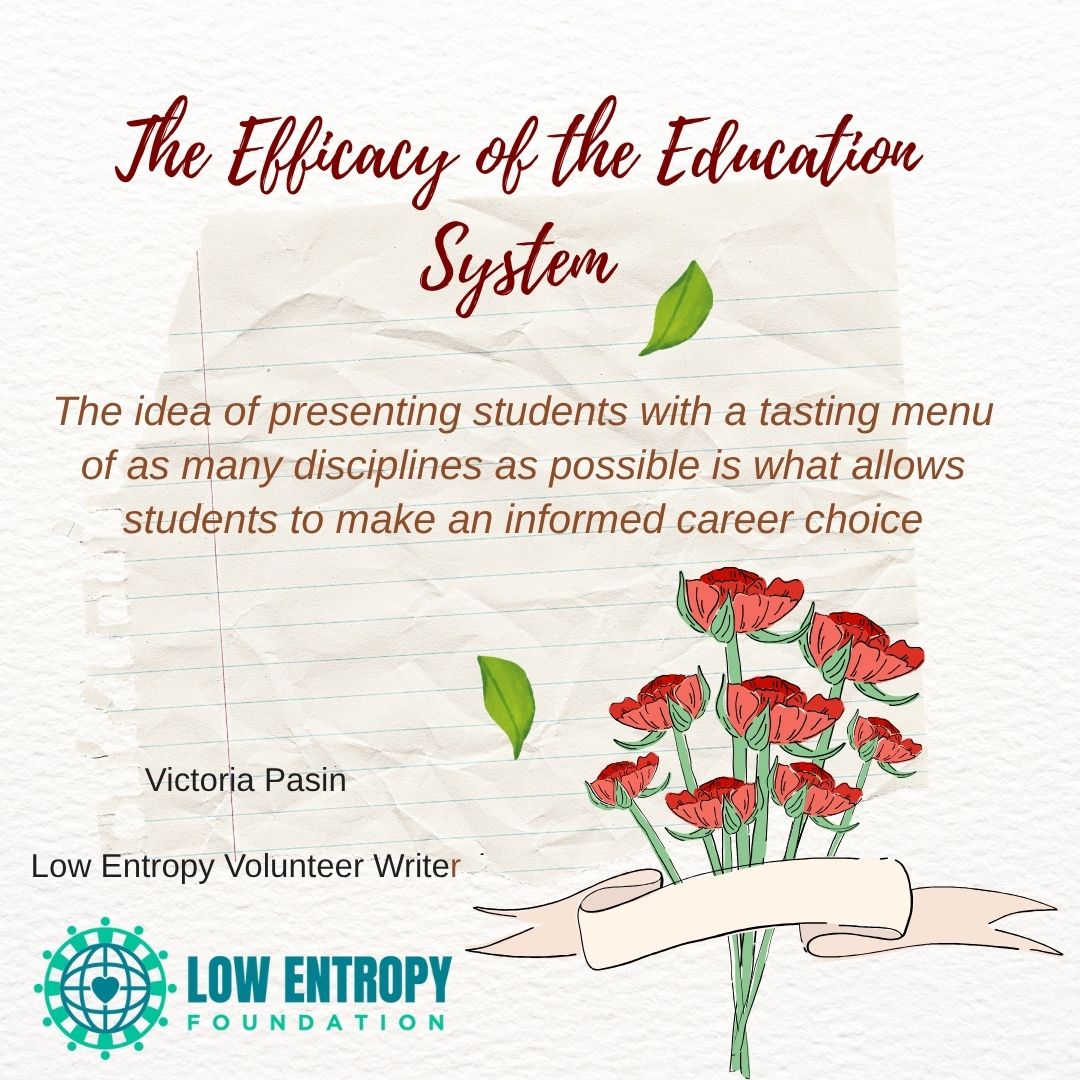 The Efficacy of the Education System - Low Entropy Foundation