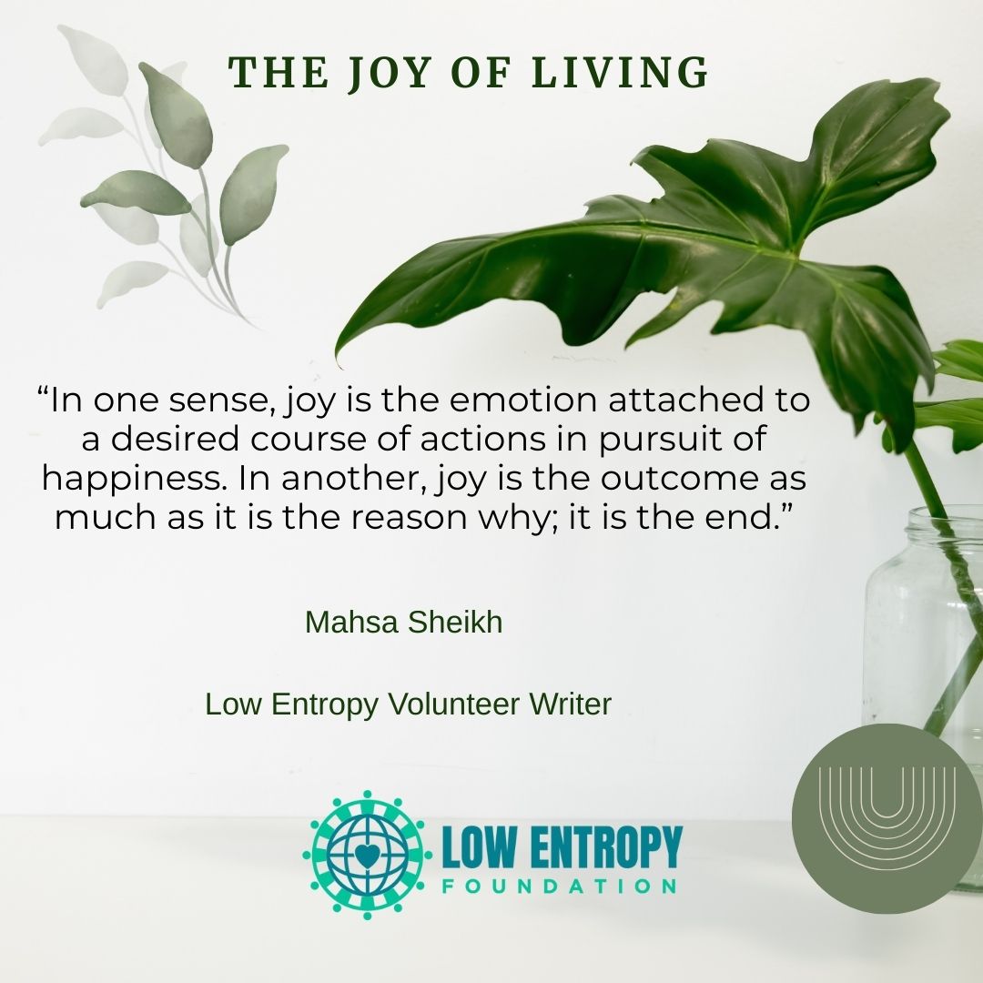 The Joy of Living - Low Entropy Foundation