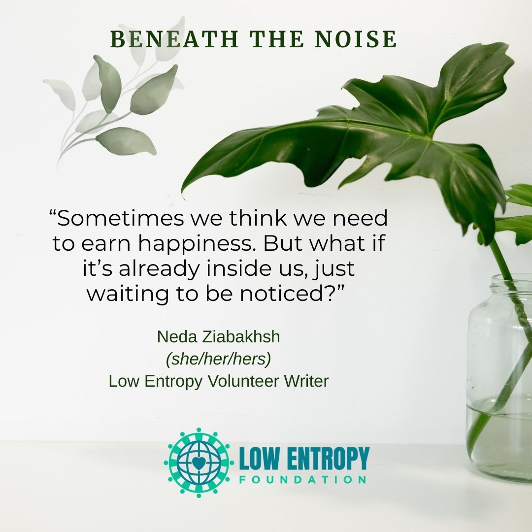 Beneath the Noise - Low Entropy Foundation