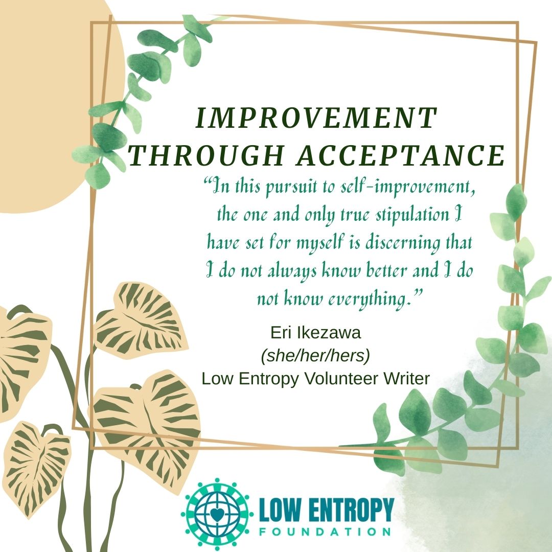 Improvement Through Acceptance - Low Entropy Foundation