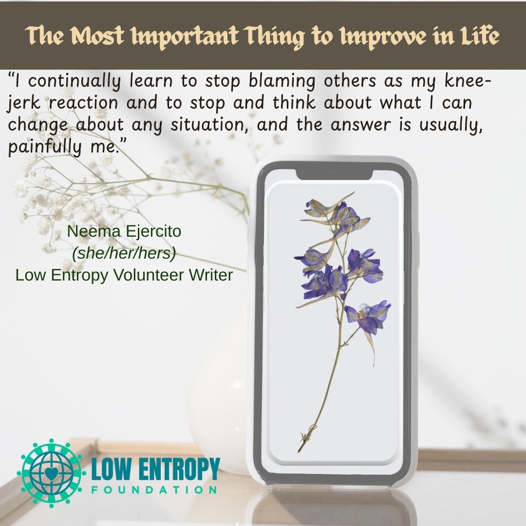 The Most Important Thing to Improve in Life - Low Entropy Foundation